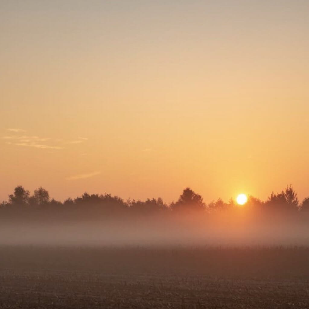 Grundlagen Bildgestaltung / Bildkomposition / Lichtsituationen in der ...