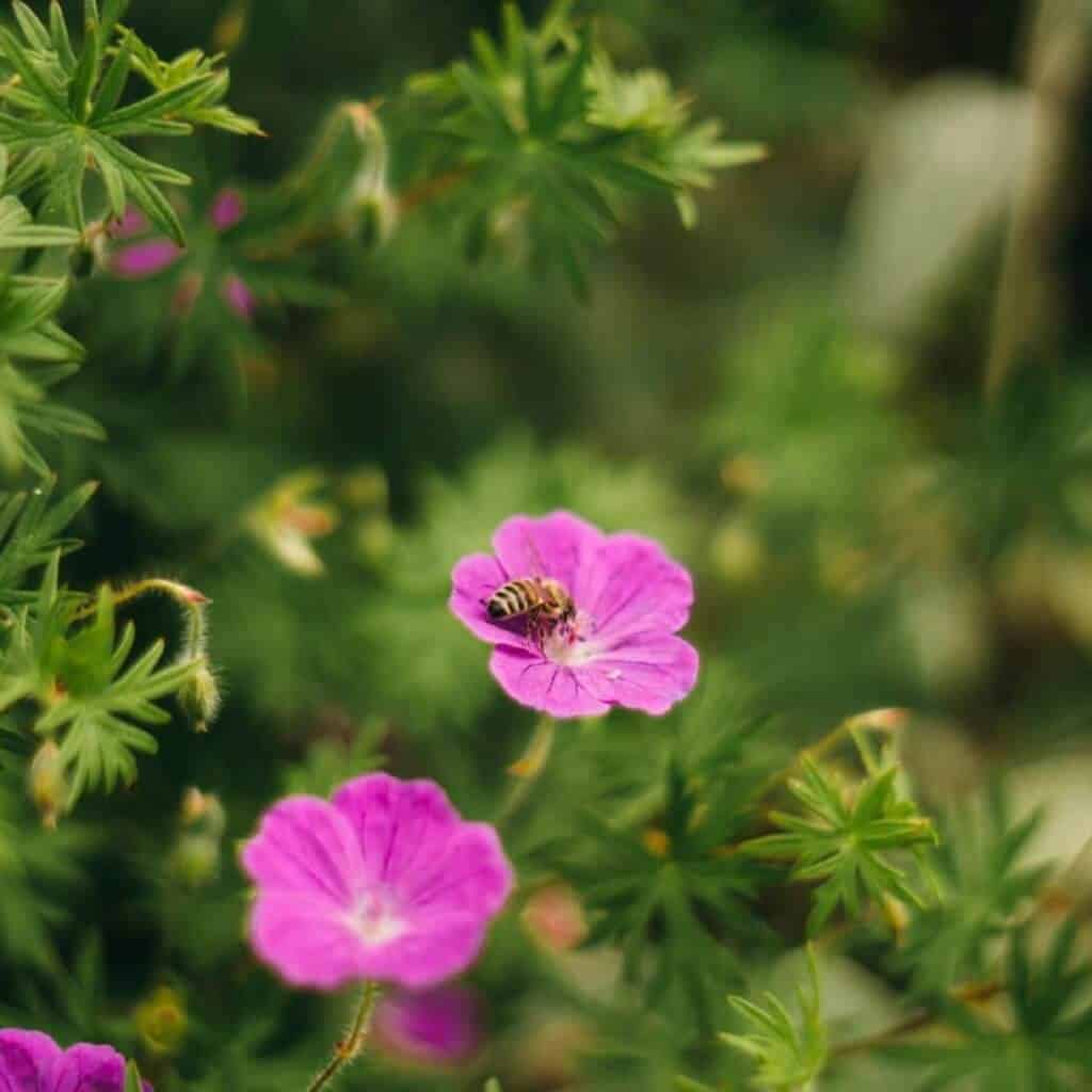 Grundlagen Bildgestaltung / Bildkomposition / Lichtsituationen in der ...